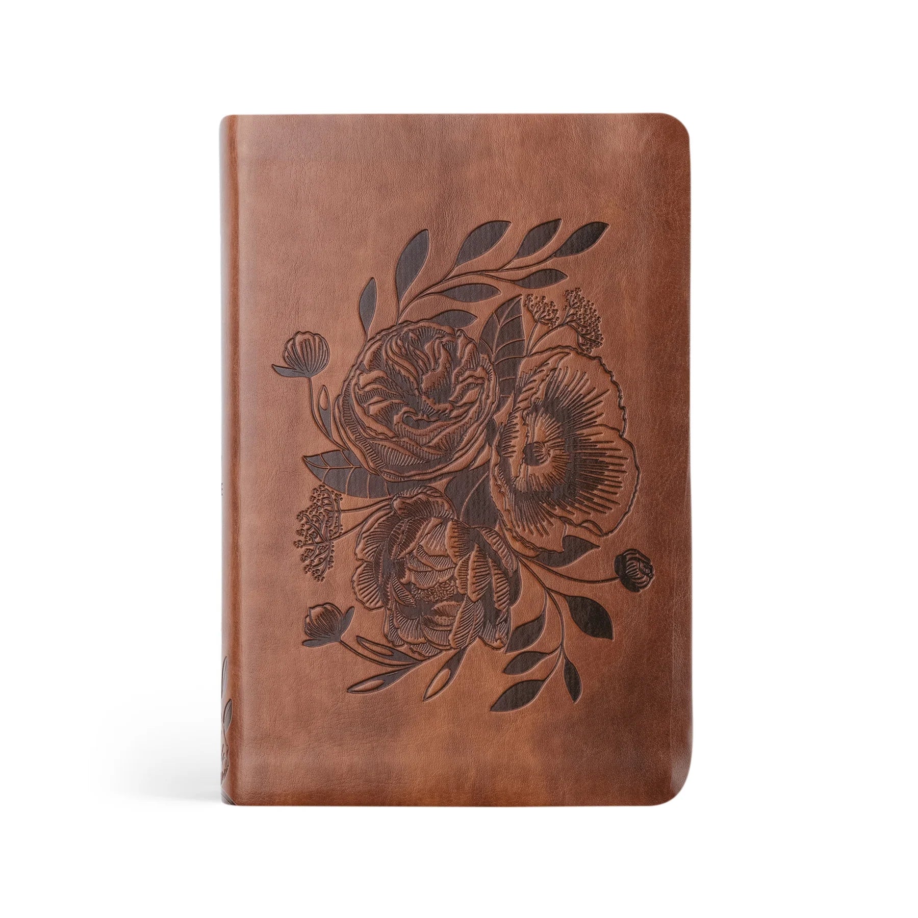 NLT Compact Bible: Aurora Theme – Everything Local Co